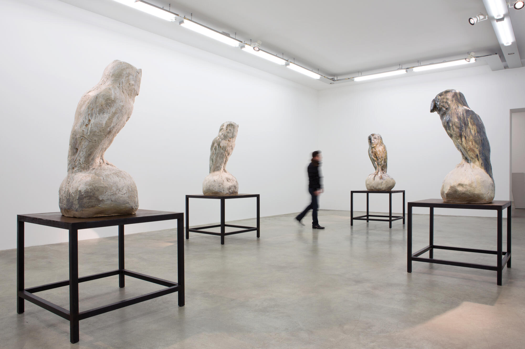 Studio Creten | The Vivisector